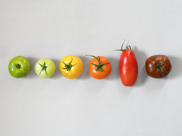 Letterology: The Color Atlas