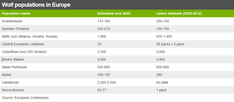 Canis lupus 101: The place where #wolves could soon return