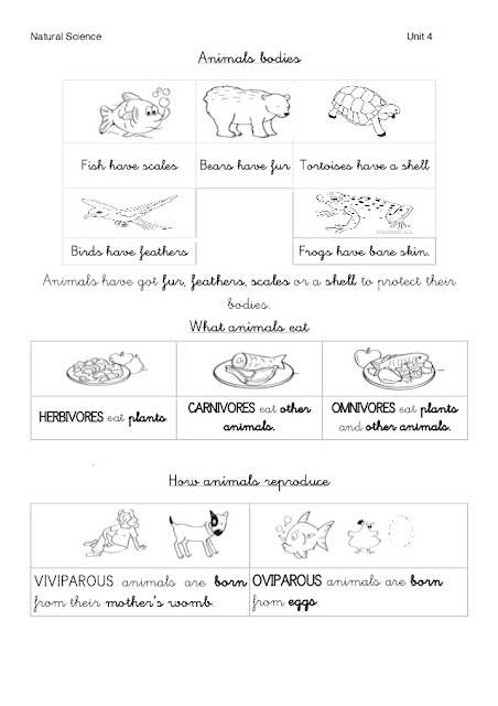 1º, 2º y 3º de primaria (BLOG ISABEL): SCIENCE 3