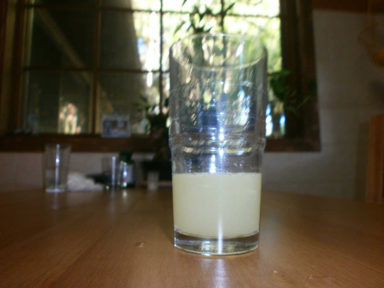 Primal Maya: How to make HEALTHY Lemonade (With Pictures) [SUGAR FREE]