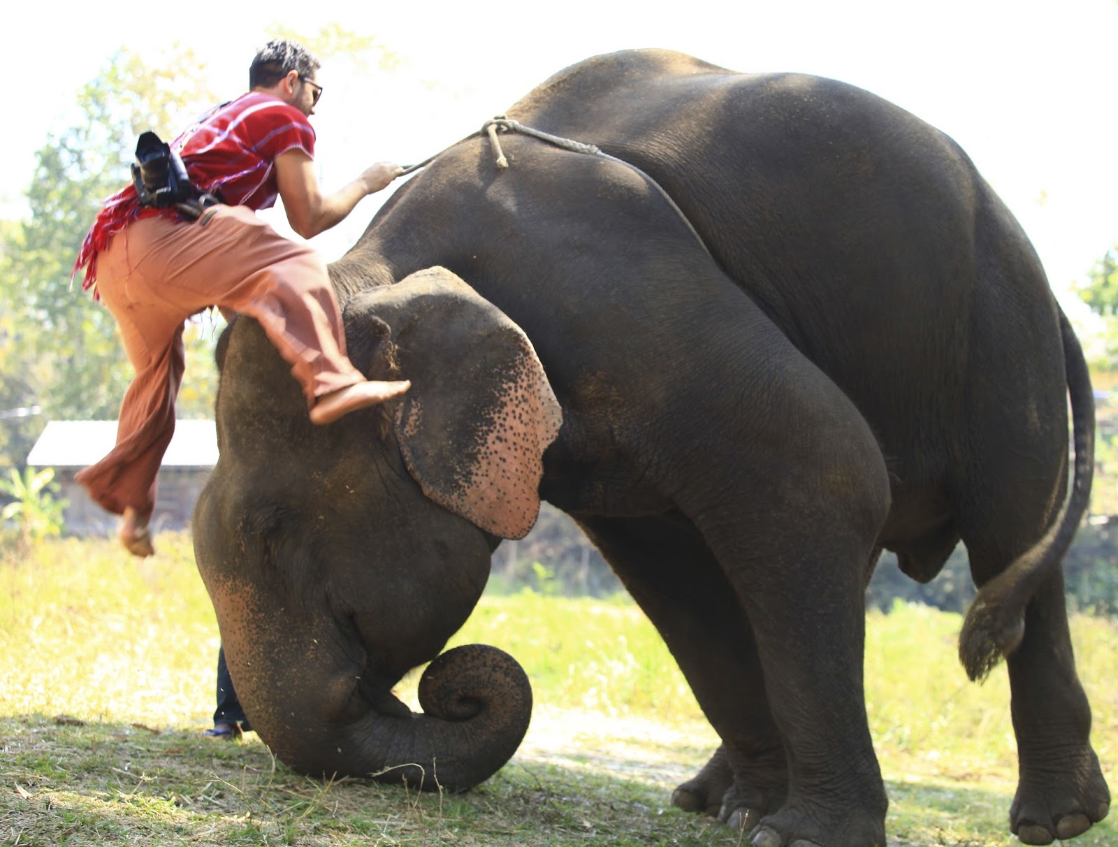Jessie & Jake: Honeymoon Thailand: Patara Elephant Farm