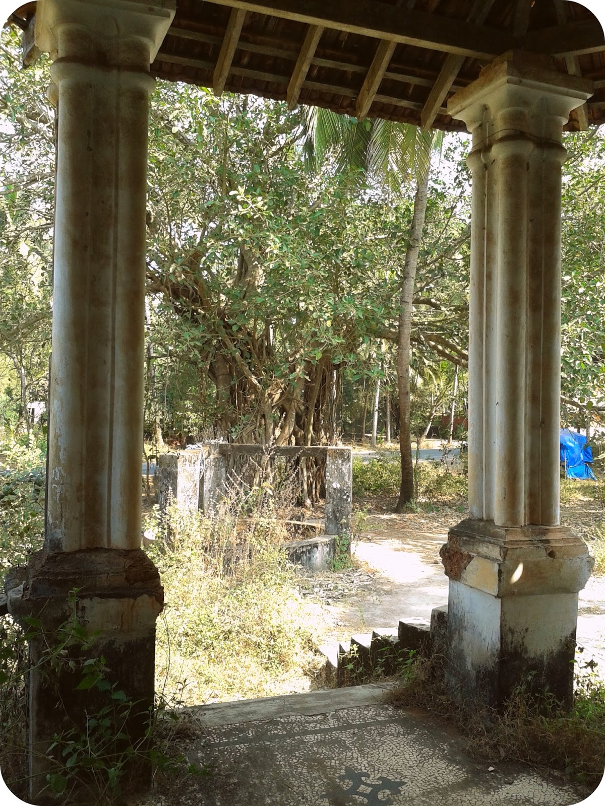 Vintage Vixen: Travels In Goa Part 1 - Elegantly Wasted