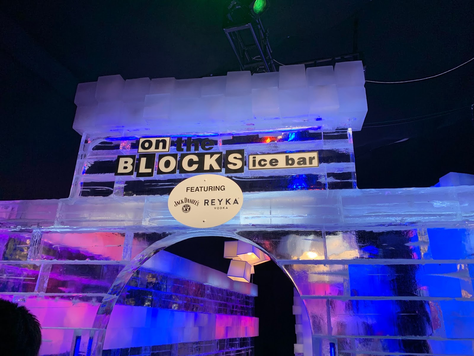 We Visited ICE! at the Gaylord Texan + We Have a 50% Off Coupon for Our ...