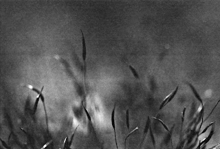 The Analog Photographer: Monday Column: What is an Analogue Photography?