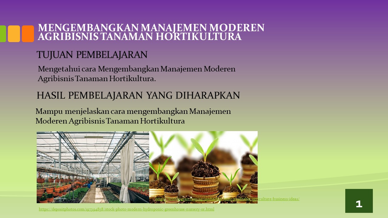 Penyuluhan Pembangunan: MATERI 4 MANAJEMEN AGRIBISNIS TANAMAN HORTIKULTURA