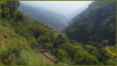 Les vagamondes - Par le monde, à Vélo: 2012-04 Inde – Ooty Kerala ...