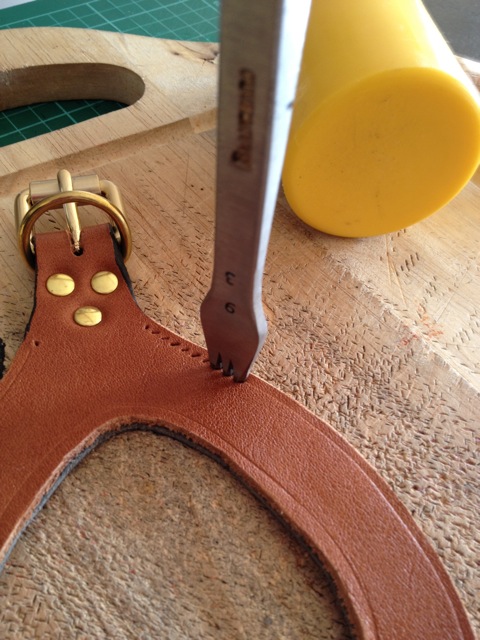 Rocky's Blog: Dot.Dog