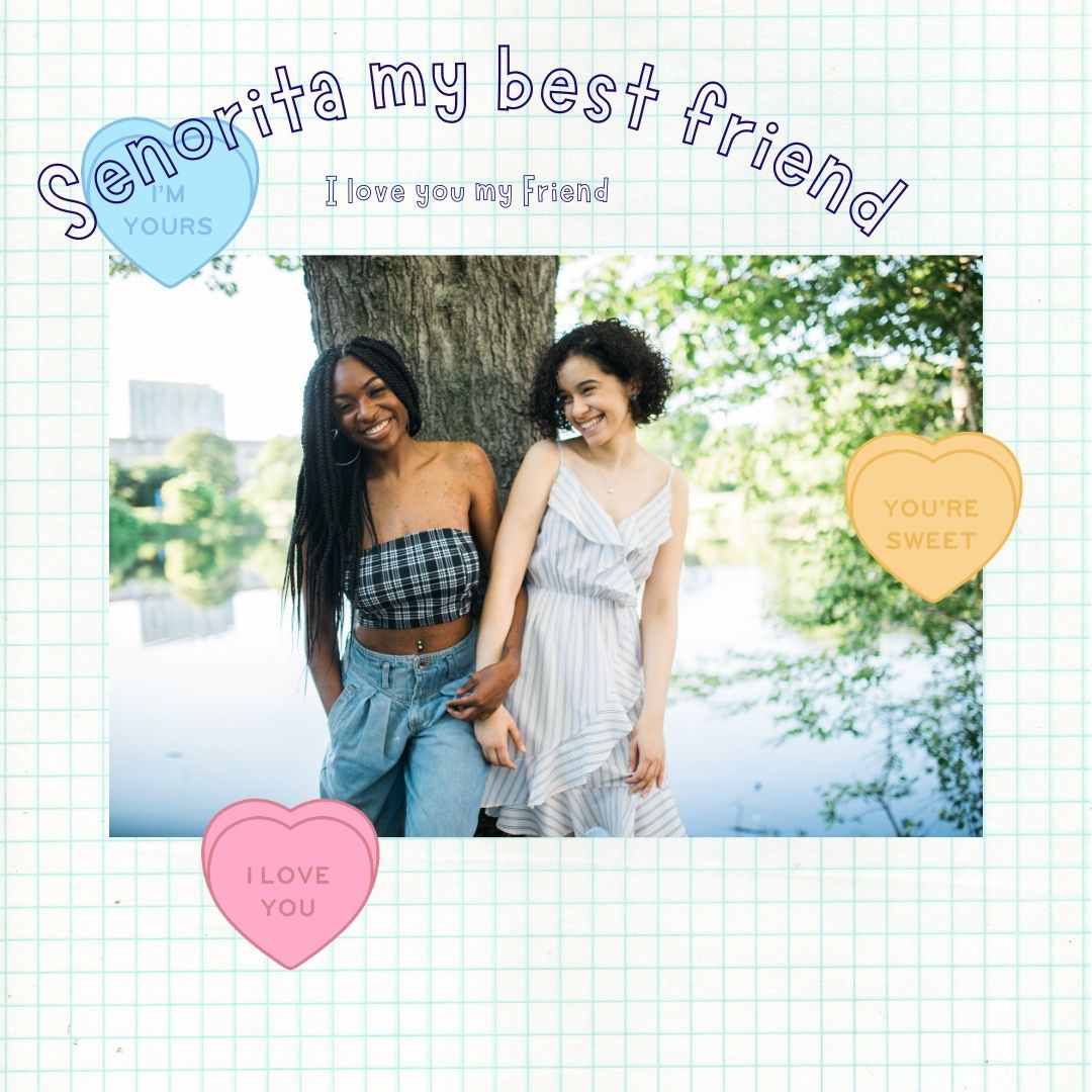 6 Best Friend Captions or Poster