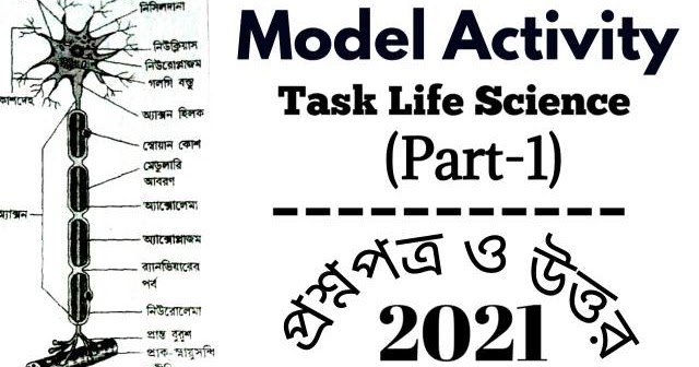 Model Activity Task Class 10 Life Science Answer part 1 Madhyamik Guide model-activity-task-class-10-life-science-answer-part-1-madhyamik-guide