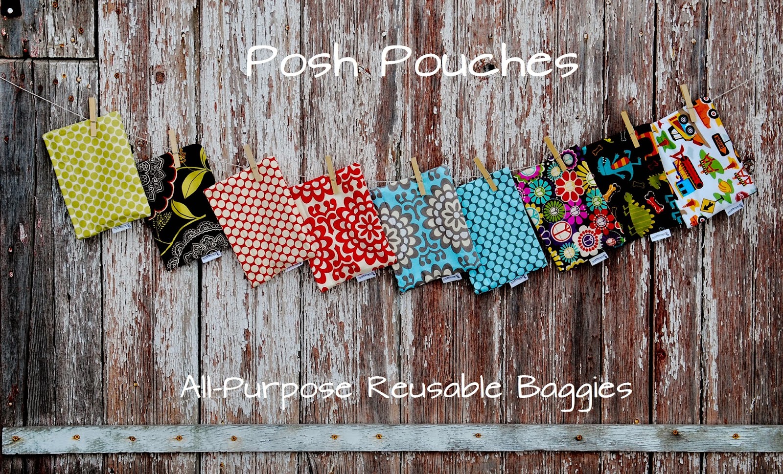 Mish-Mosh and Good Nosh: Awesome Product Share! Posh Pouches- Fun ...