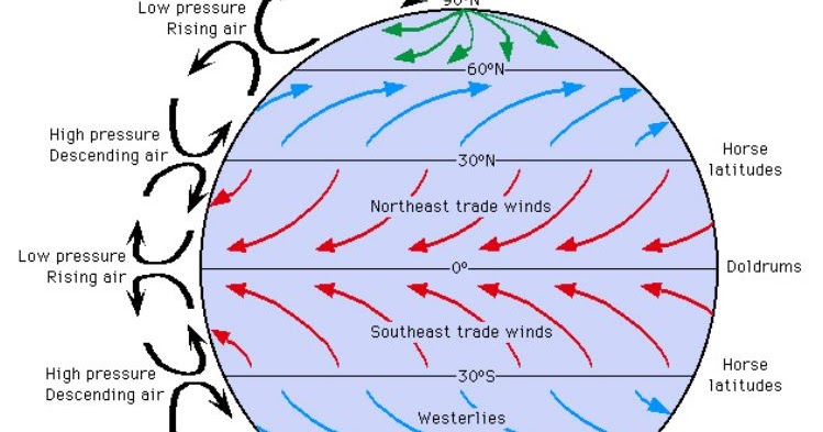 Angin yang bertiup di dua daerah bertekanan maksimum subtropik utara ...