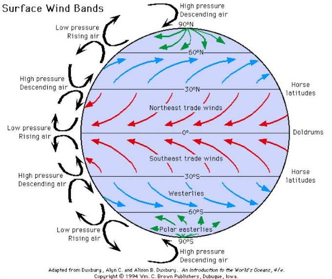 Angin yang bertiup di dua daerah bertekanan maksimum subtropik utara ...