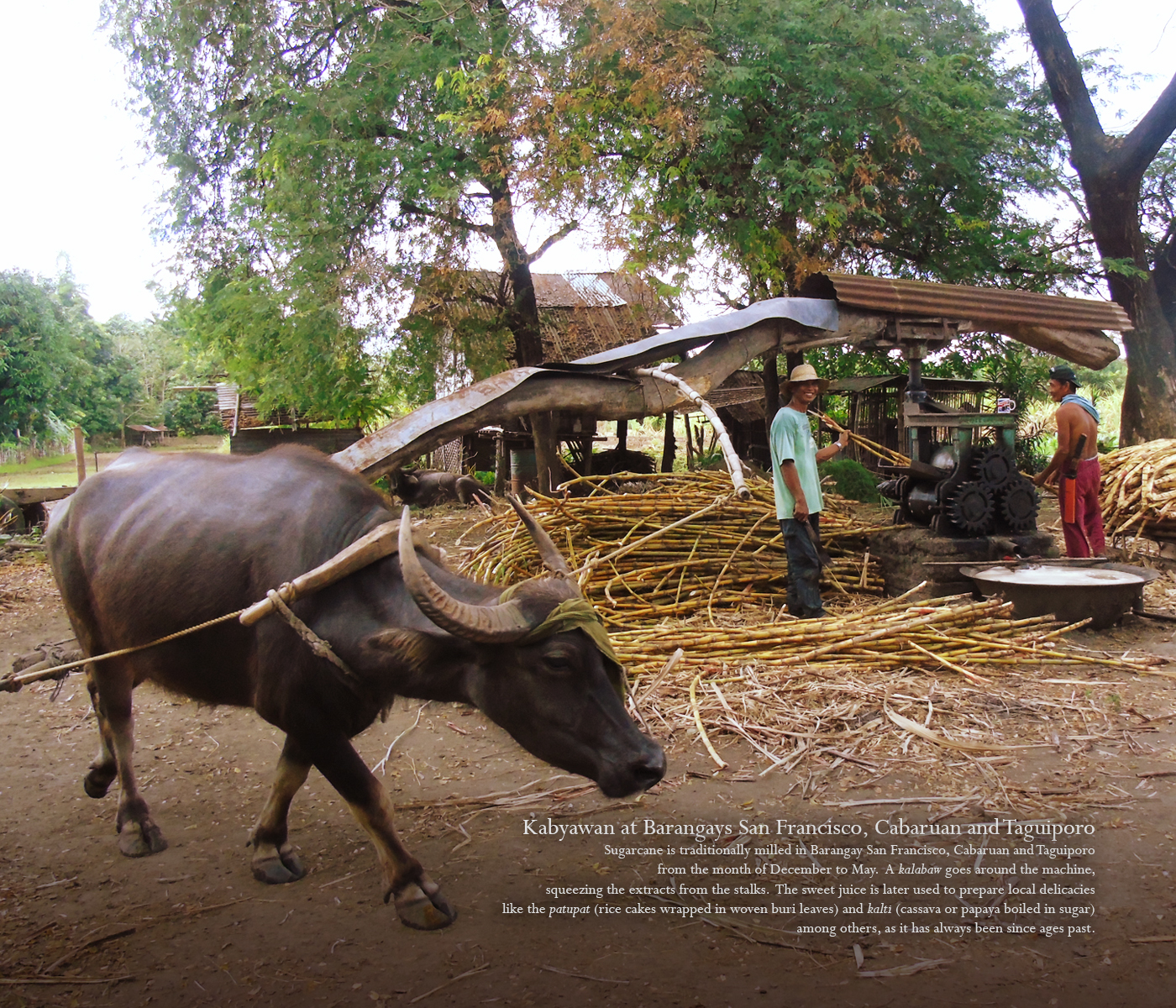 I Am No Ubermensch: Some Things to See in Santa Ignacia