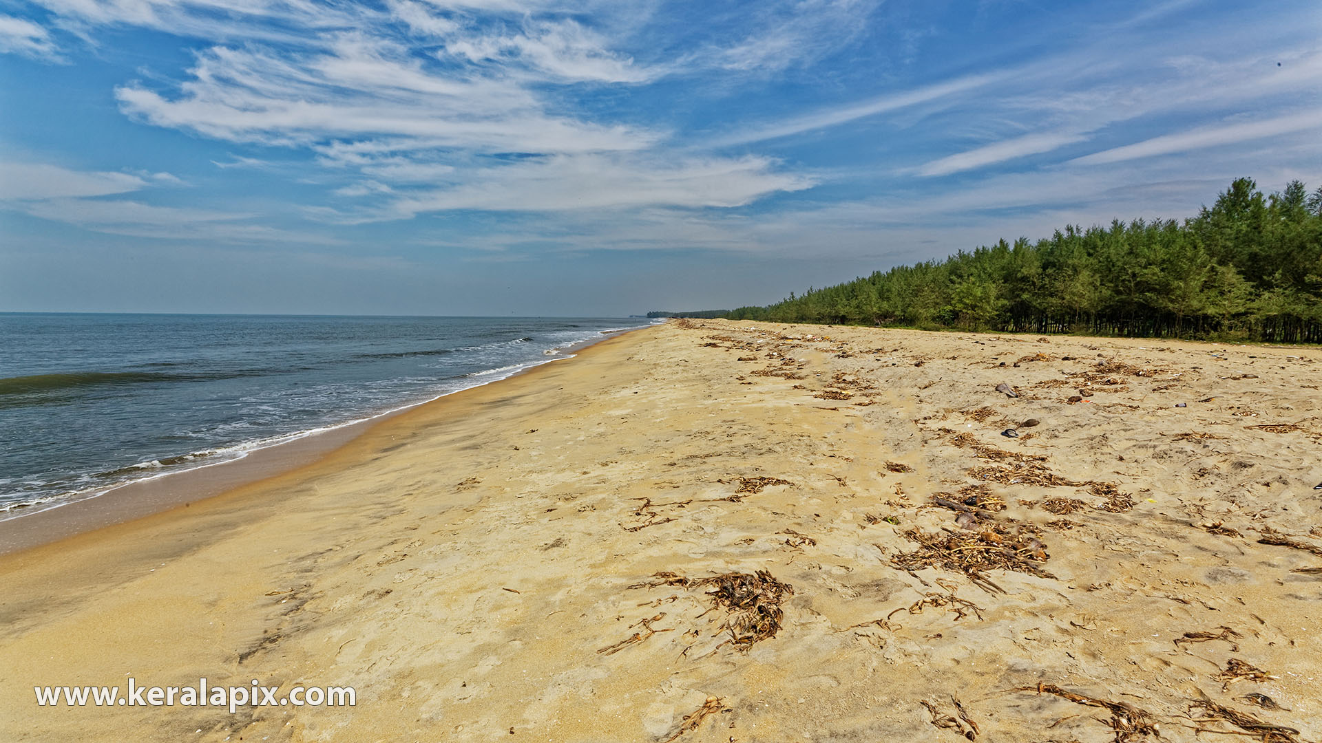 Keralapix.com: Your Ultimate Destination for Stunning Kerala Images and ...