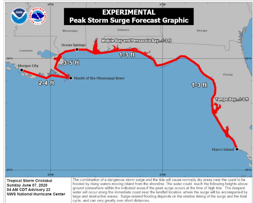 Avian Flu Diary: T.S. Cristobal Key Messages- Coastal & Inland Flooding ...