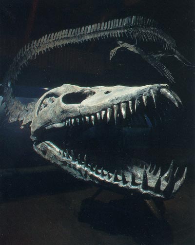 Coins and Scrolls: OSR: Fossil Dinosaurs