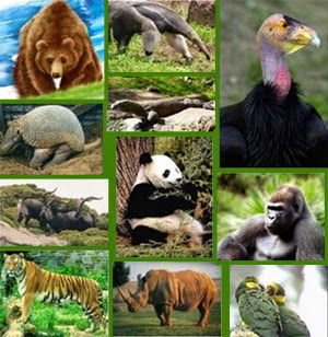 Educación Geográfica: Espacio geográfico