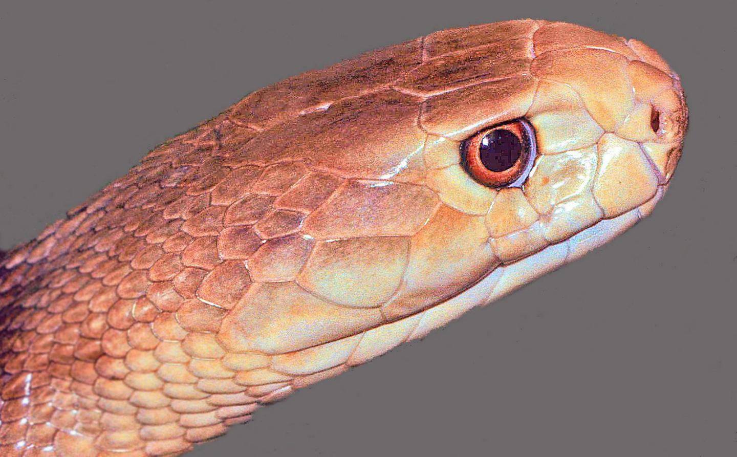 EMS SOLUTIONS INTERNATIONAL by @DrRamonReyesMD marca registrada ...