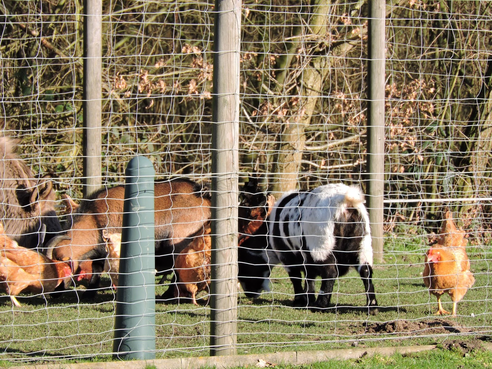 Ferm Kapelle-op-den-Bos: FLEGADO