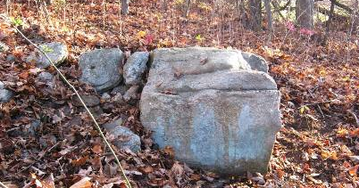 Waking Up on Turtle Island: Premise 01