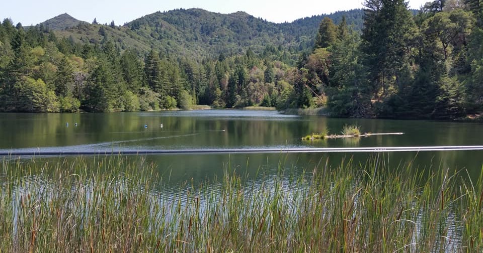 Wes' Travels to California Lakes: Lake Lagunaitas - Marin County ...