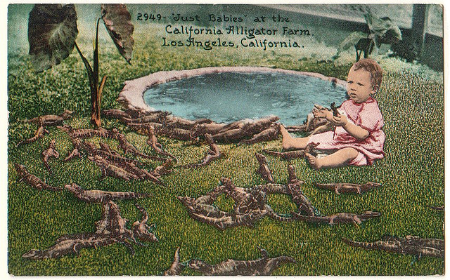 DECAYING HOLLYWOOD MANSIONS: The California Alligator Farm - Los Angeles