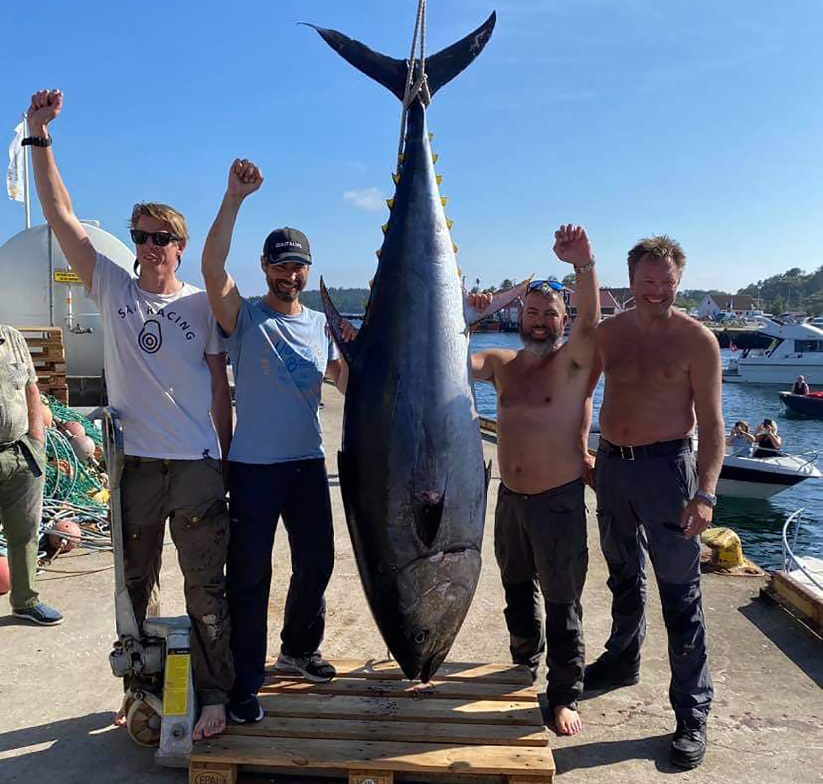 Team Propell fiske: Tunfiskfangst i Norge: - Helt vilt!