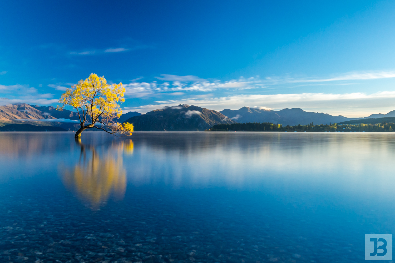 Joel Bramley Photography: That Wanaka Tree