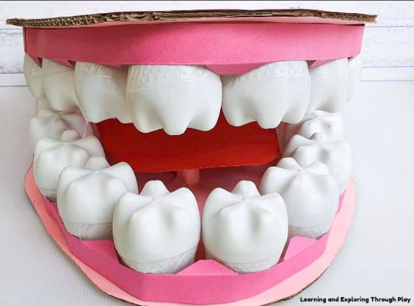 Learning and Exploring Through Play: DIY Dental Teeth Props for Kids