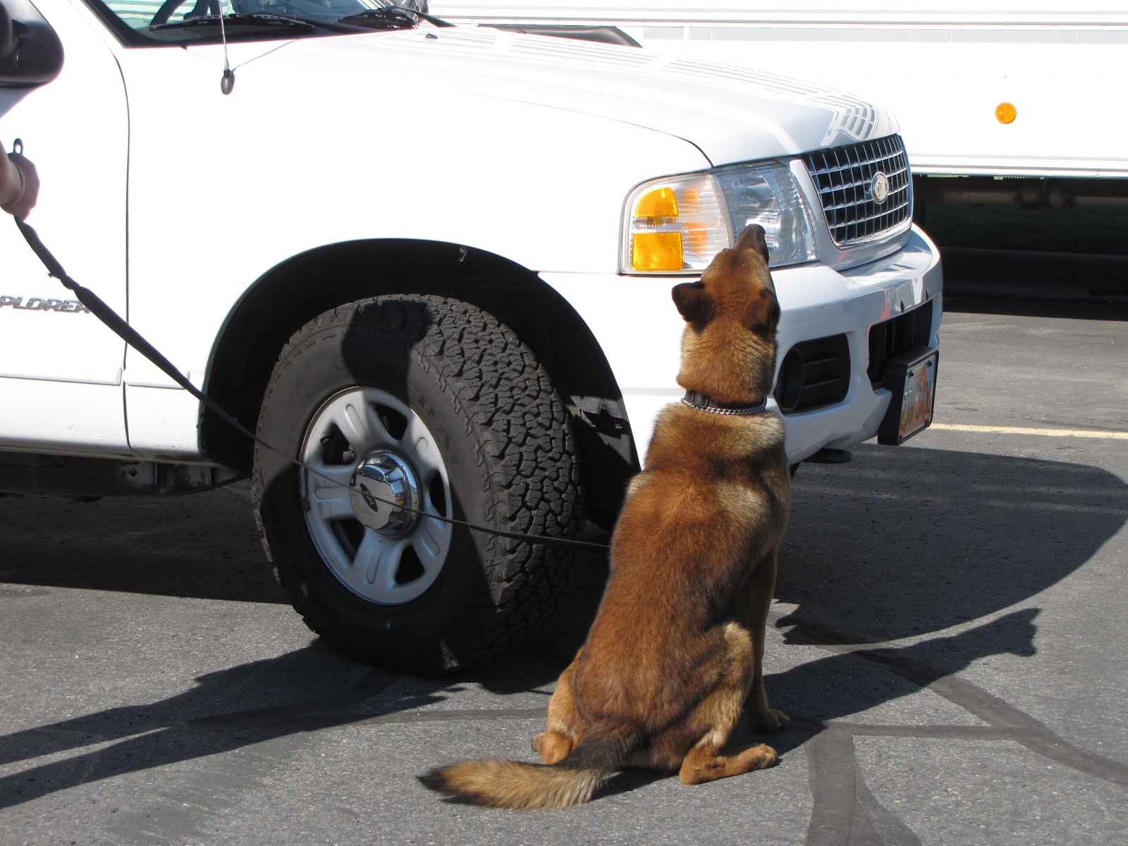 Davis County Sheriff's Office: POST K9 Narcotics Training Yields Drug Bust