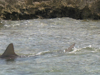 "Kaos" Caribbean Kapers: The Jumentos, Bahamas - May 2011