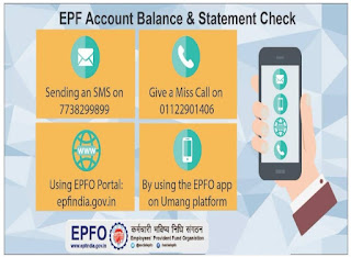 How to check your PF Account Balance and Statements of PF (EPFO)