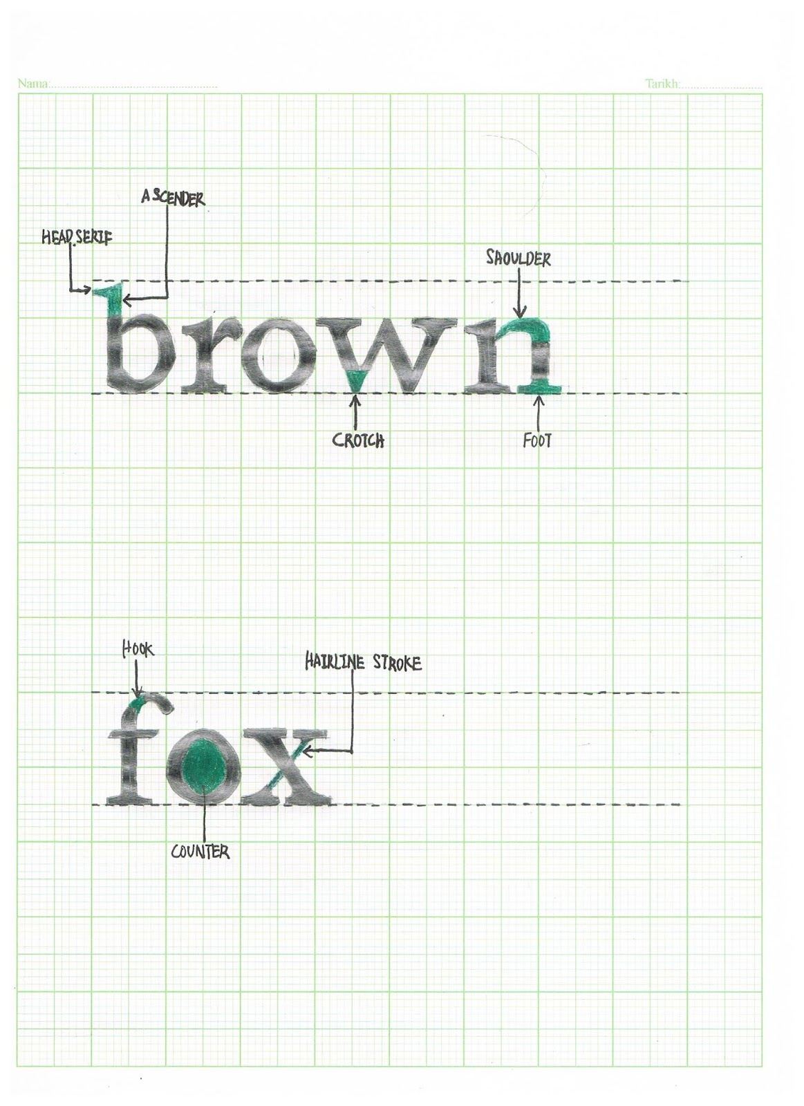 Digital Typography - Anatomy