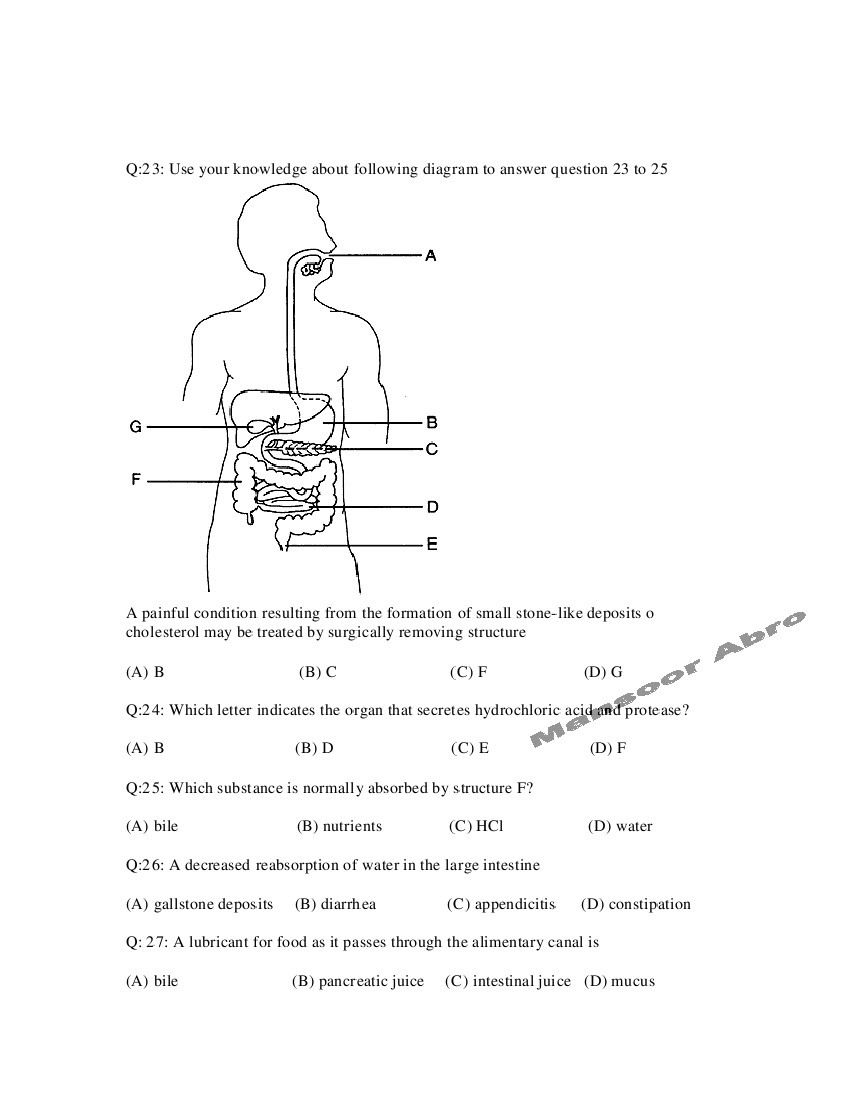 SUM ACADEMY LARKANA: Chapter : 12 (Nutrition) MCQ Test