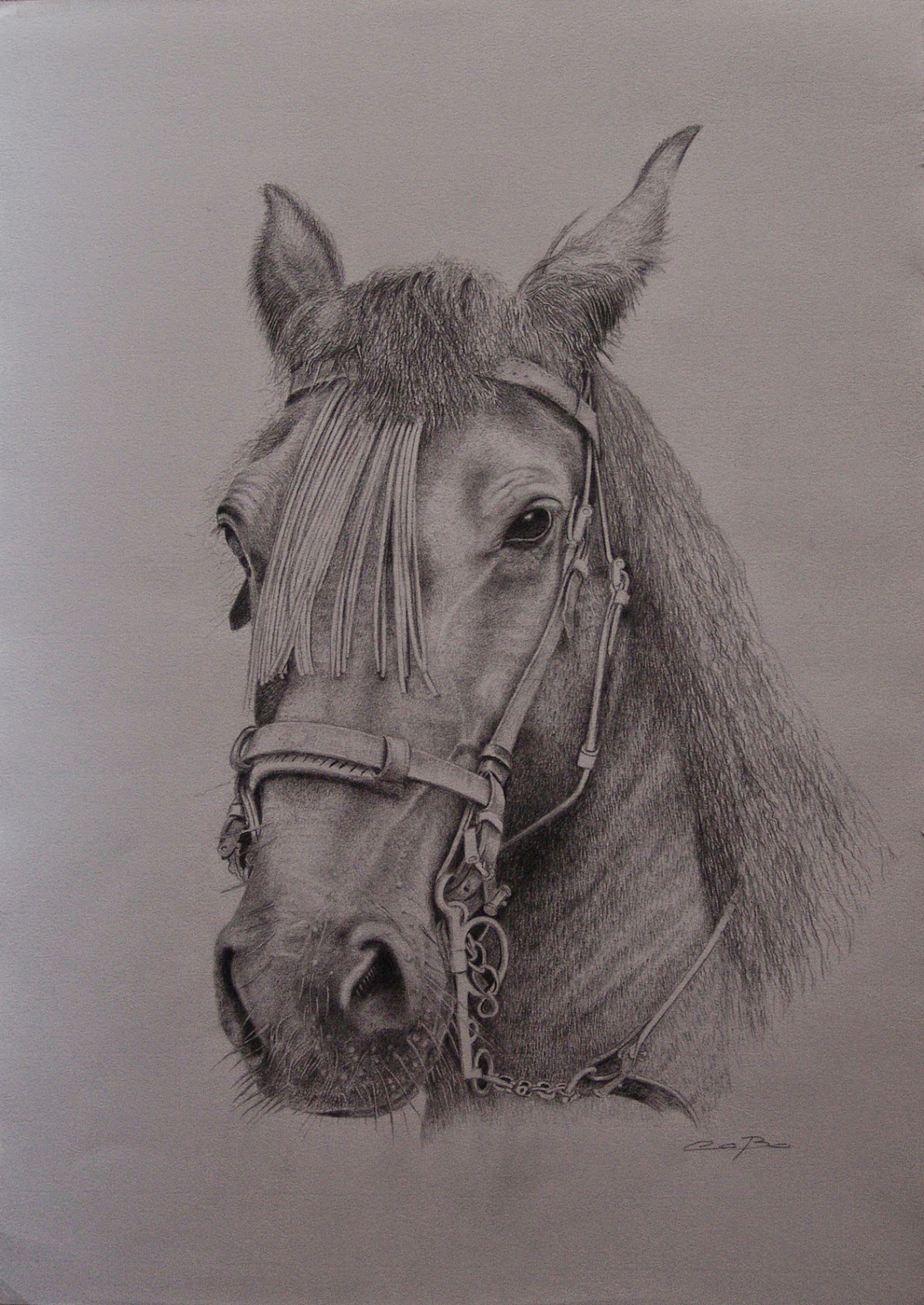 Julio Cobo-Óleos y Grabados: GRAFITOS