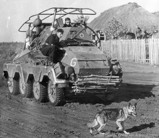 Mr Boot's Axis Blog: Anti-tank Dogs