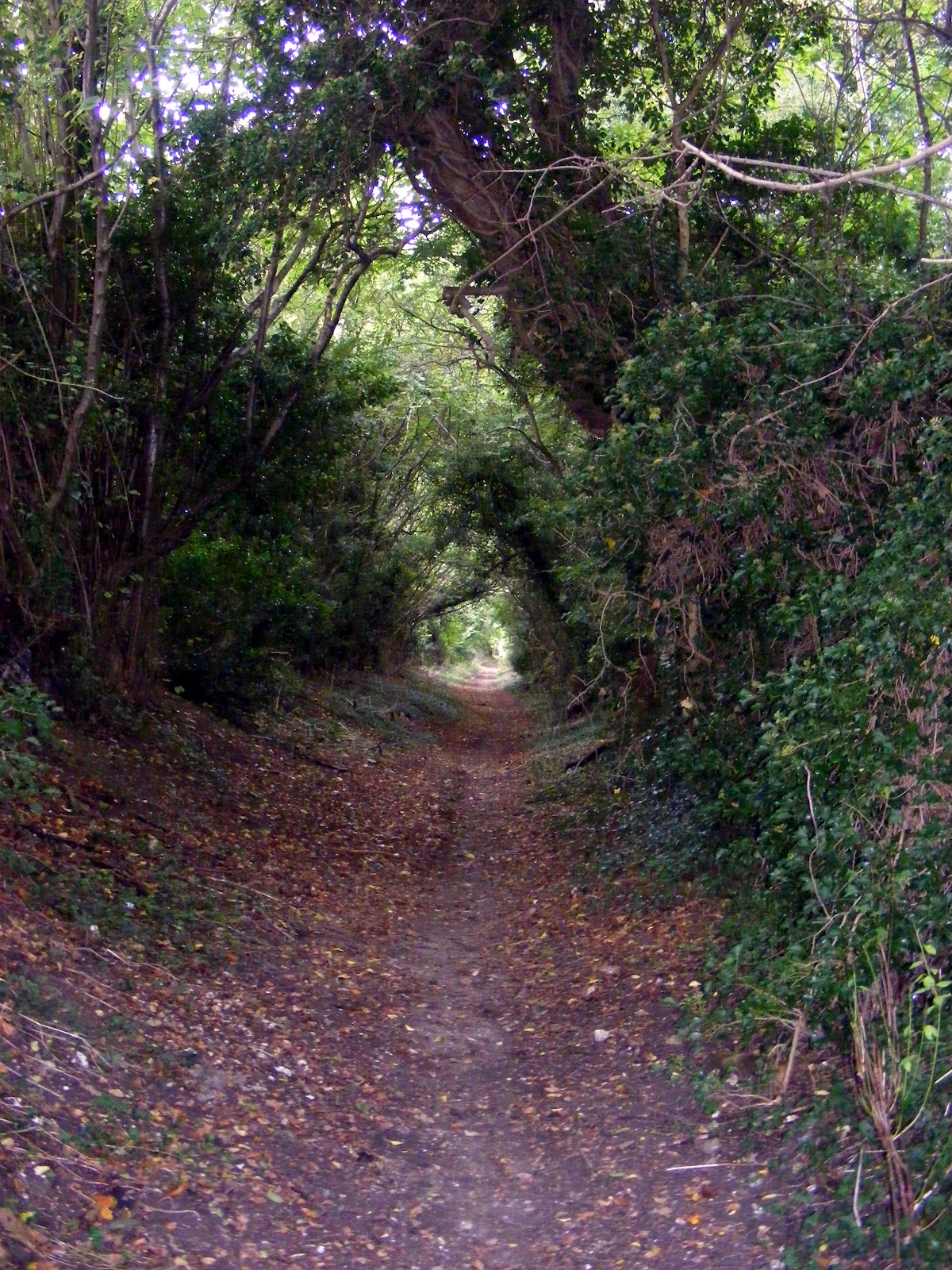 TheLondonLoop: London Loop-Hamsey Green to Banstead 3rd October 2012