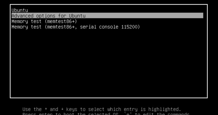 Ubuntu Black screen error