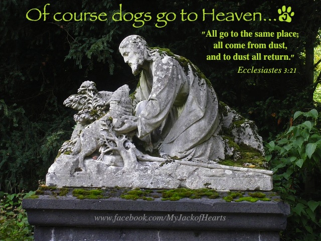 JACK McAFGHAN s Blog So Do Pets Go To Heaven Or Not jack-mcafghan-s-blog-so-do-pets-go-to-heaven-or-not