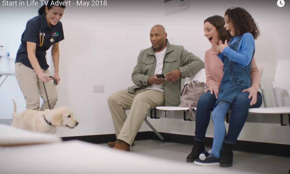 Narrative Code: Vets4Pets: Best Start in Life. TV Advert (2018)