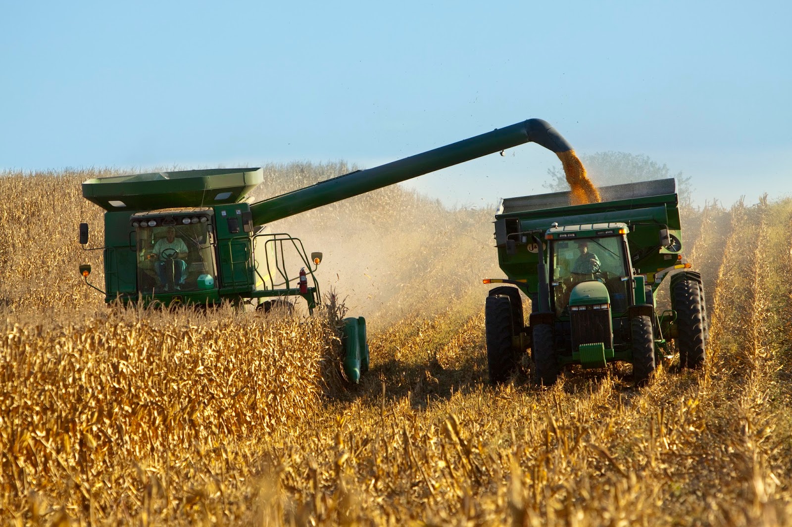 Nebraska Corn Kernels: Value-based marketing for feeder cattle...what's ...