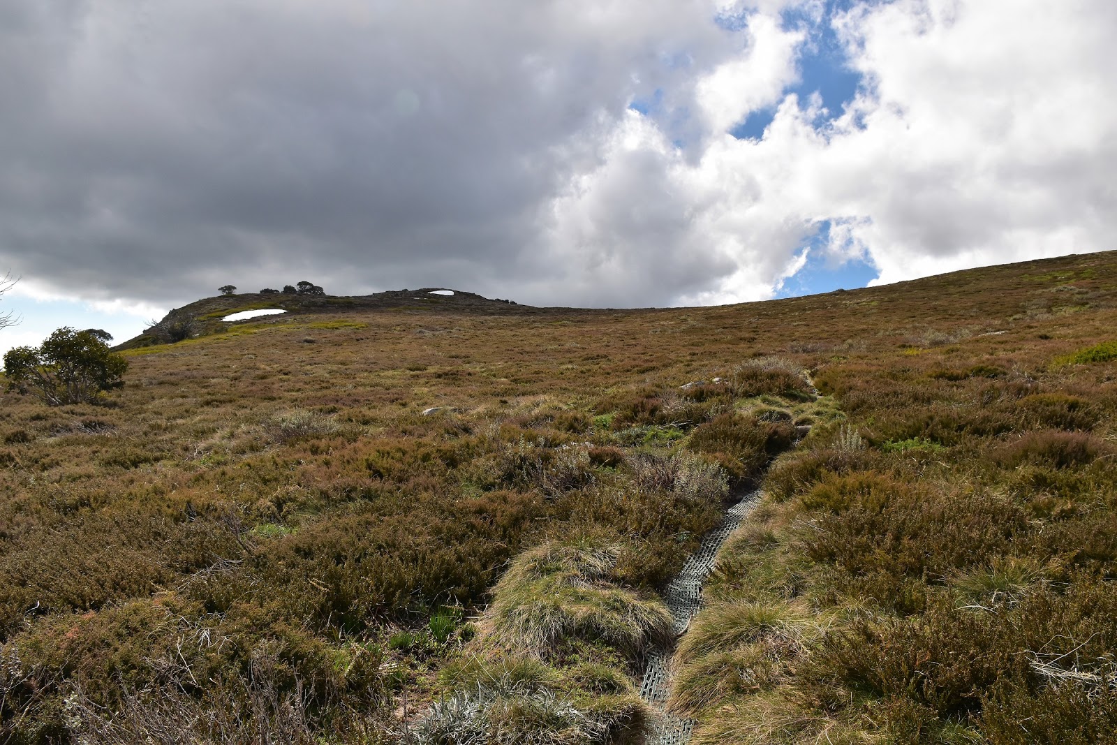 Goin' Feral One Day At A Time: Chesters Yard to Vallejo Gantner Hut ...