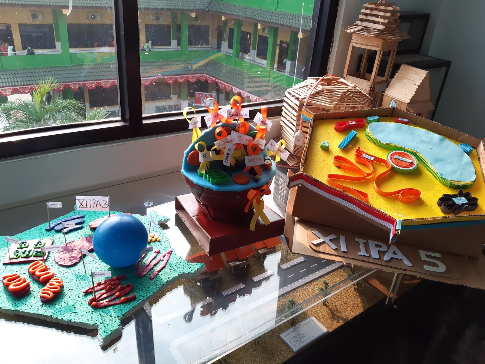 ALAT PERAGA SEL HEWAN DAN TUMBUHAN ( XI IPA 3, 4 DAN 5)