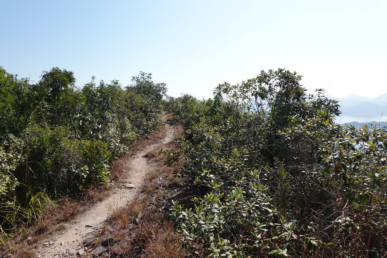 消耗五百食翻一千※香港行山記: 船灣淡水湖郊遊徑 Plover Cove Reservoir Country Trail