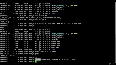 8 Free Linux Courses for Programmers and IT Professionals to Learn ...