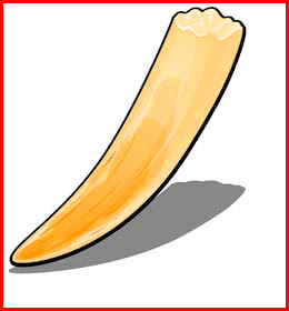 English Literature: What Does “Ivory” Symbolize in Heart of Darkness?