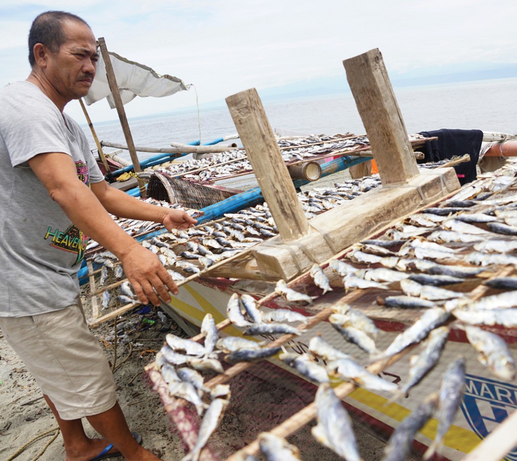 Dried Round Scad Fish Viet Nam Suppliers