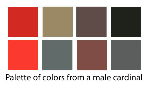 Life in Color: Cardinal Red