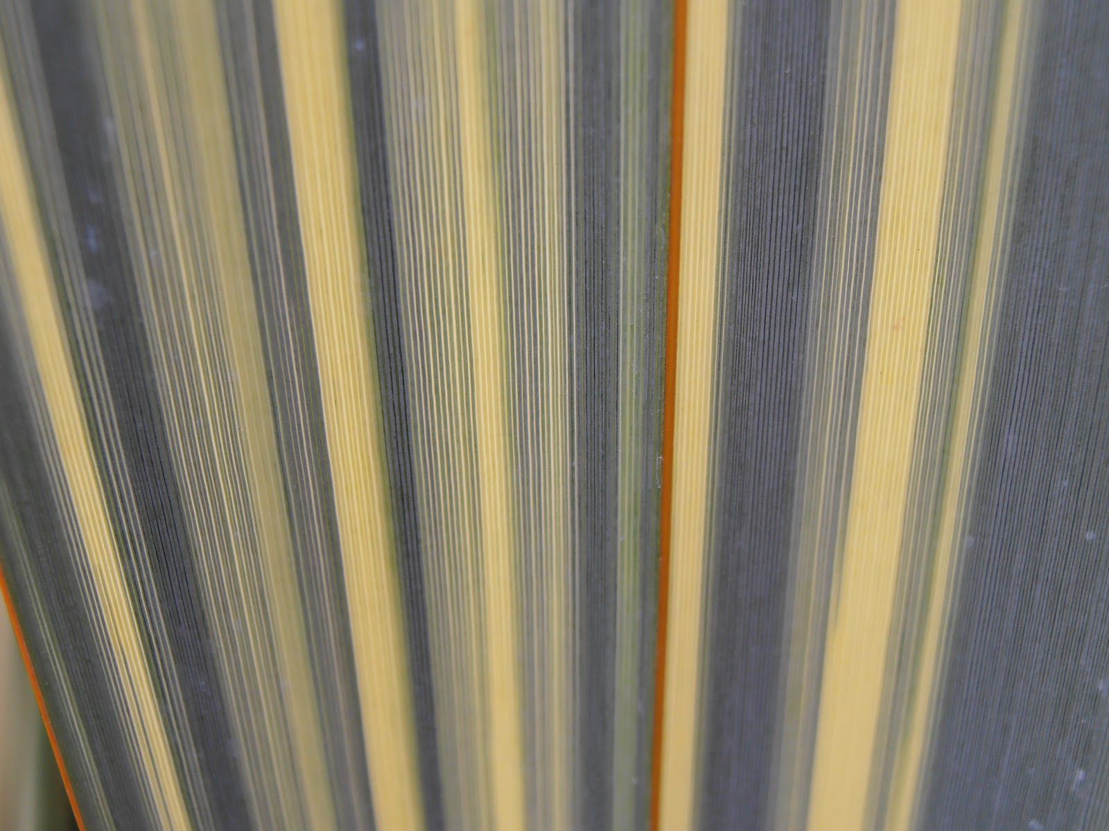 FORMIO: Phormium tenax | Plantas rioMoros