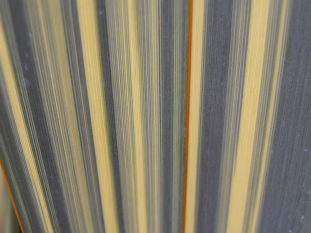 FORMIO: Phormium tenax | Plantas rioMoros